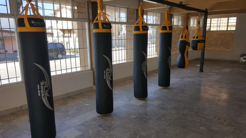 Banana Punching Bag Grande - Bankai Pro Gear | Equipo de Boxeo
