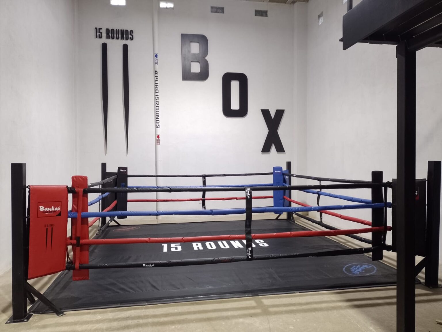 Ring de Box Profesional y de Gimnasio - Bankai Pro Gear | Equipo de Boxeo